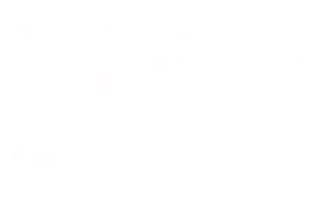 Corporate Information ⋆ Omesti